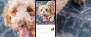 Google Lens: What It Is & How It Works (GUIDE)