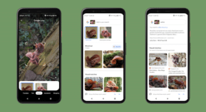 What Is Google Lens Search & How Does It Work?